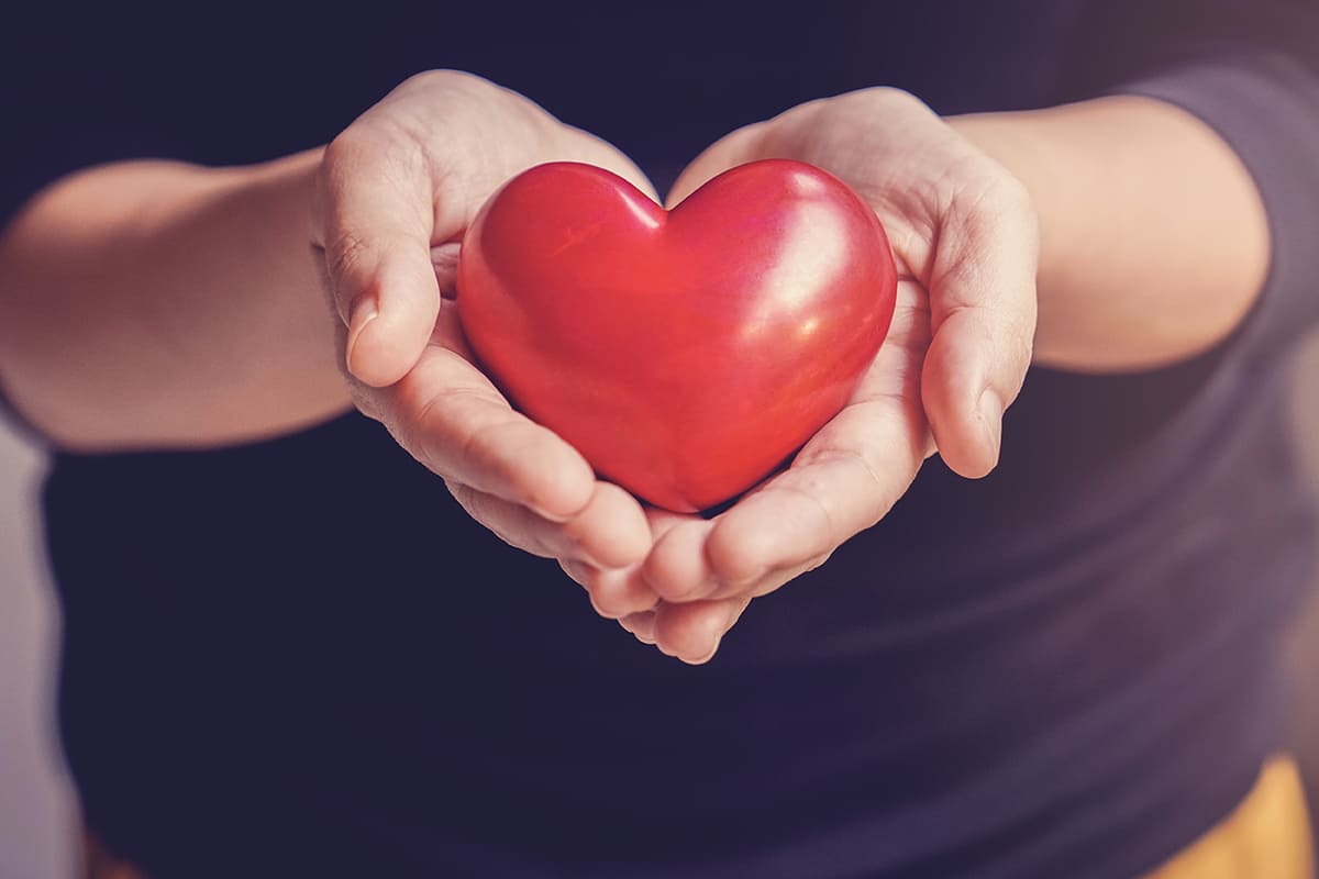 Seguro Saúde: o que é, qual a importância, regras e muito mais! - TRW